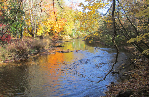 Darren and Brenda Peters: Doing More - ALUS