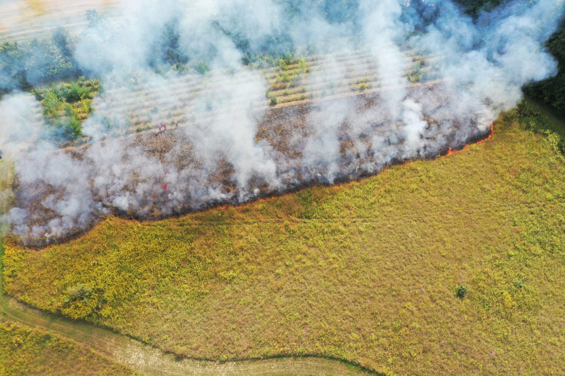 Using Fire to Restore a Tallgrass Prairie in Middlesex County, ON - ALUS
