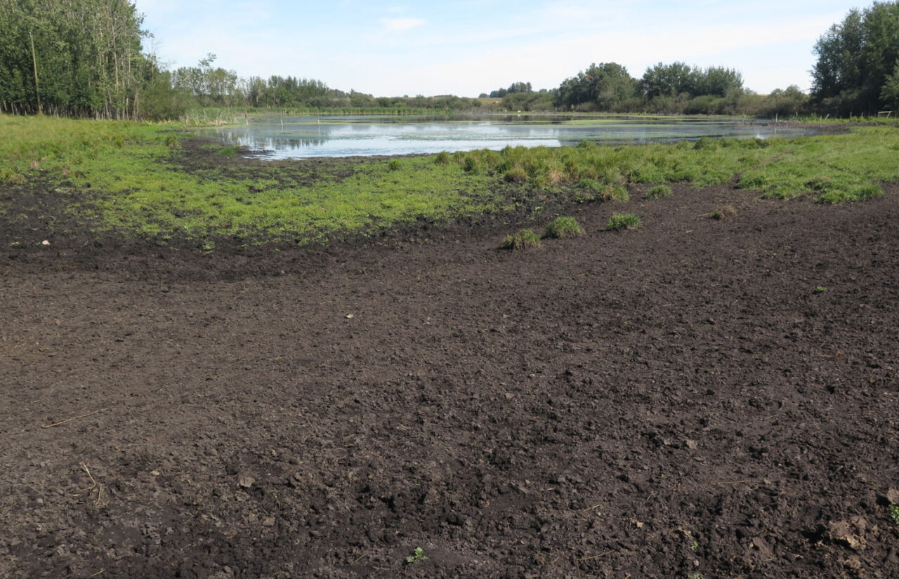 The ALUS Before and After Photo Contest Showcases Nature-Based ...