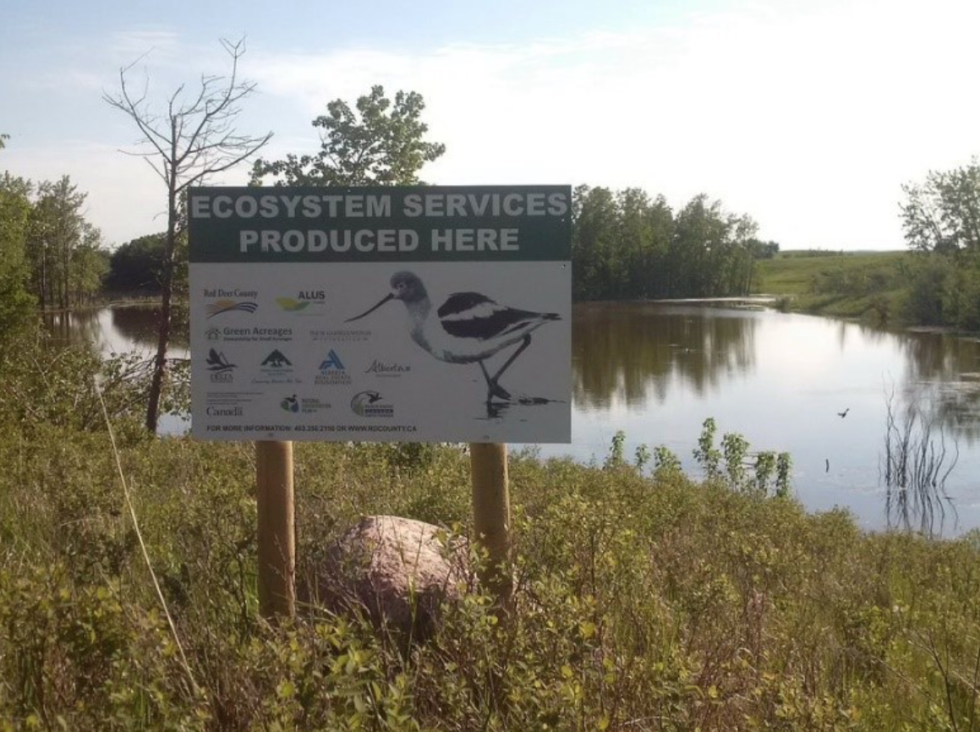 Speedwell Farms: Family Farming and Enhanced Grazing in the Foothills ...