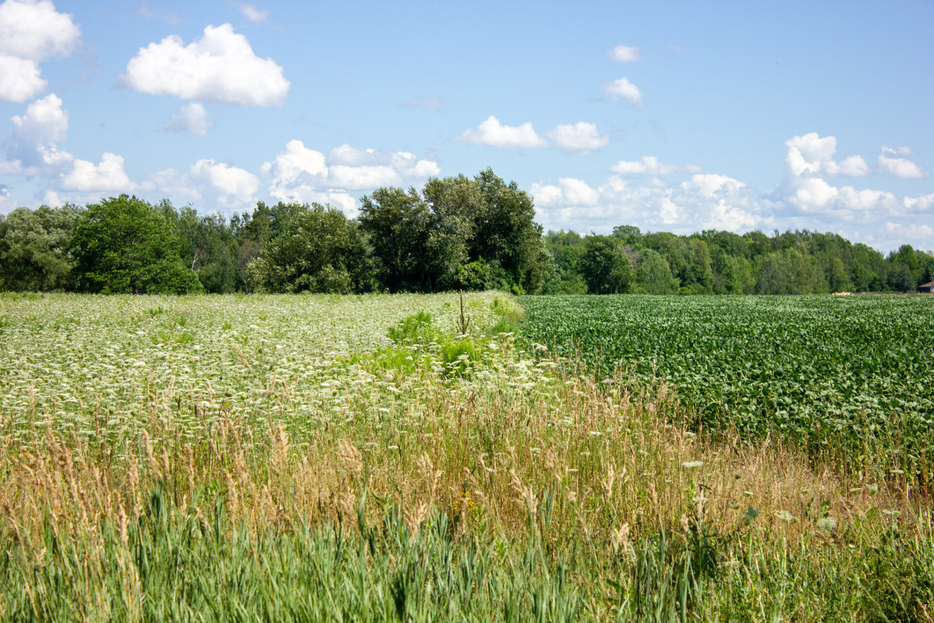 New Acre™ Project Releases Report Demonstrating Bruce Power Investment ...