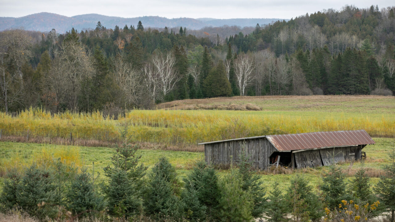 Farming Practices for Species at Risk - ALUS