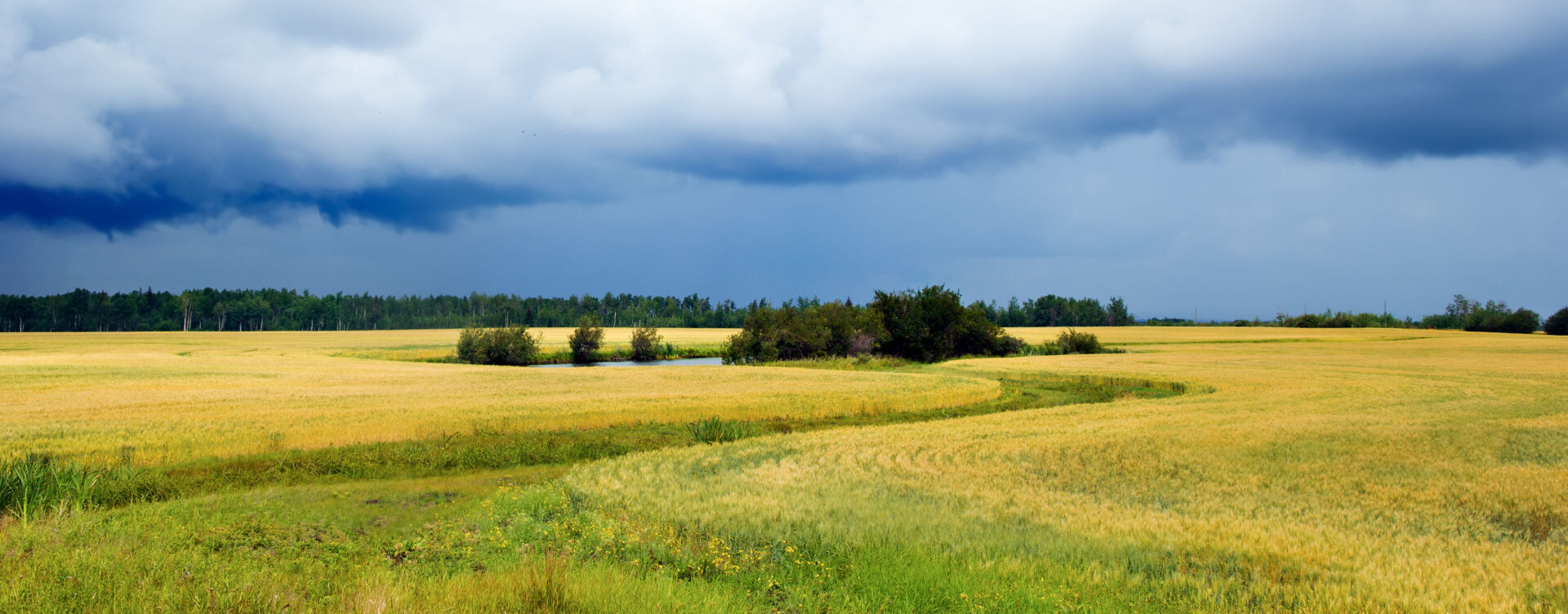 ALUS Saddle Hills - ALUS