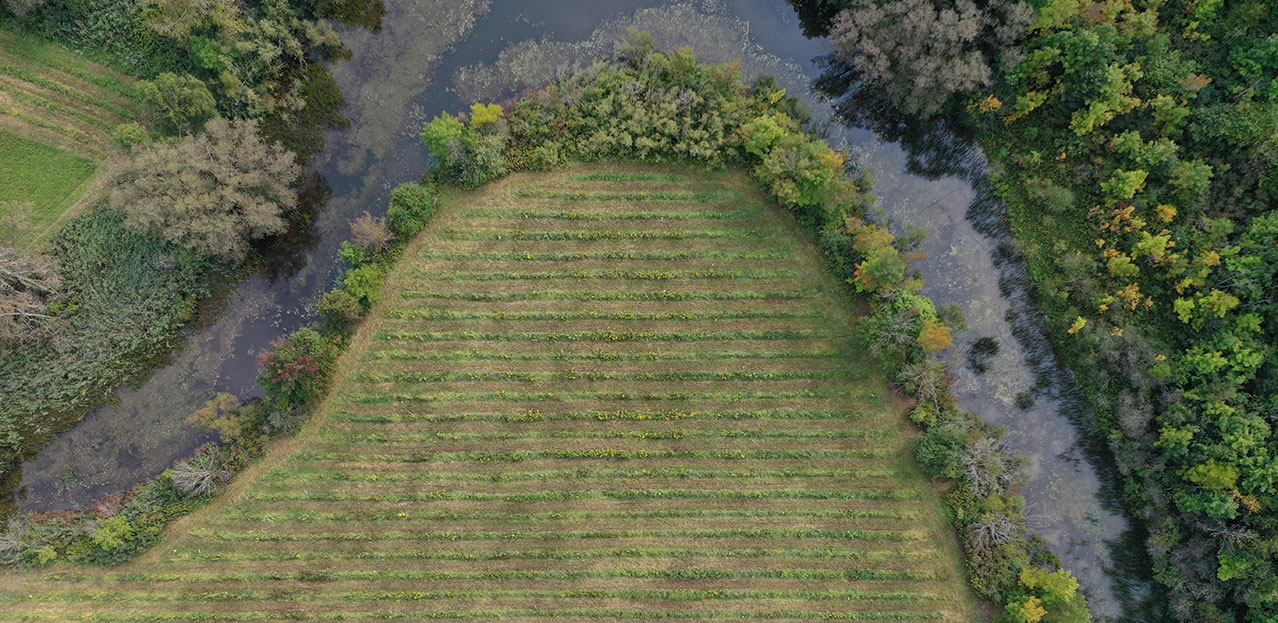 Trees on Farms - ALUS