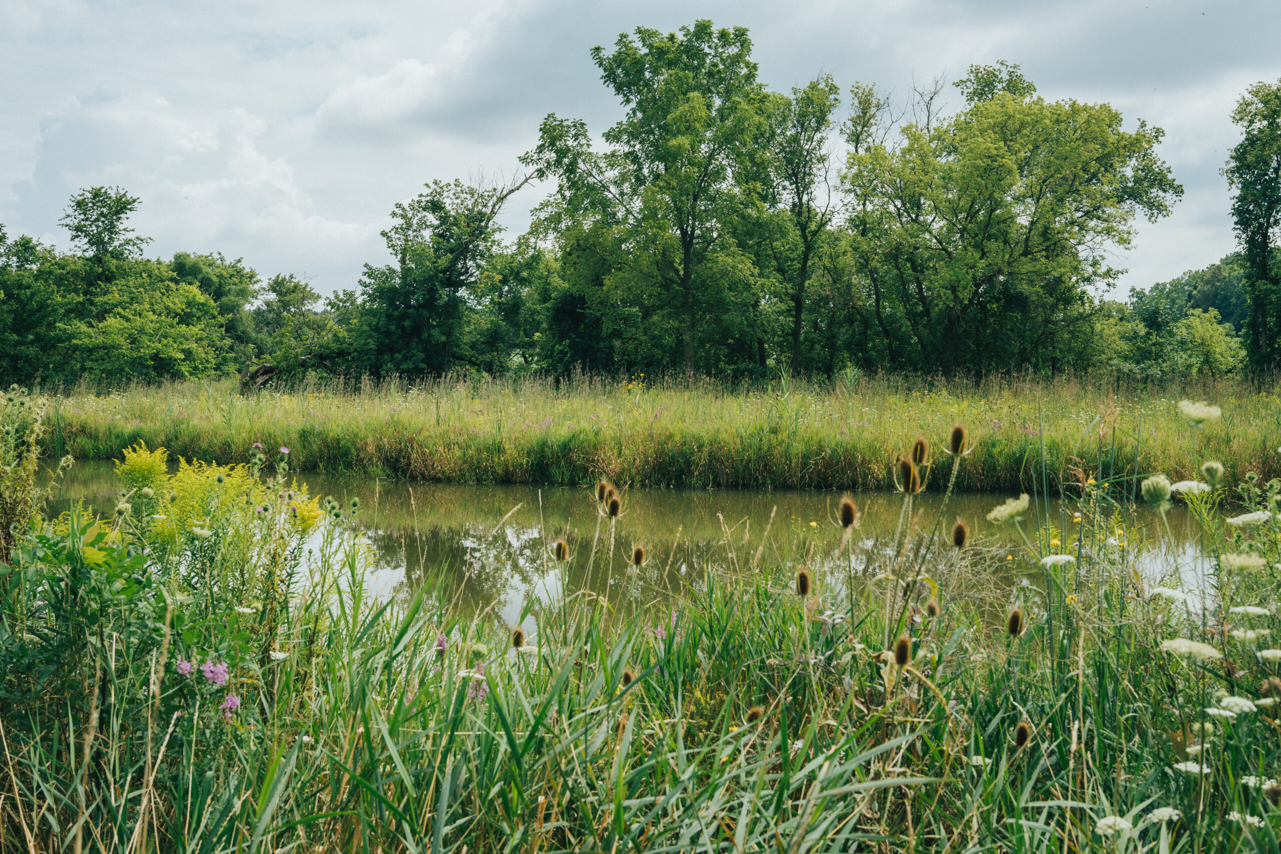 ALUS delivers nearly $1M for Species at Risk in Ontario’s Carolinian ...