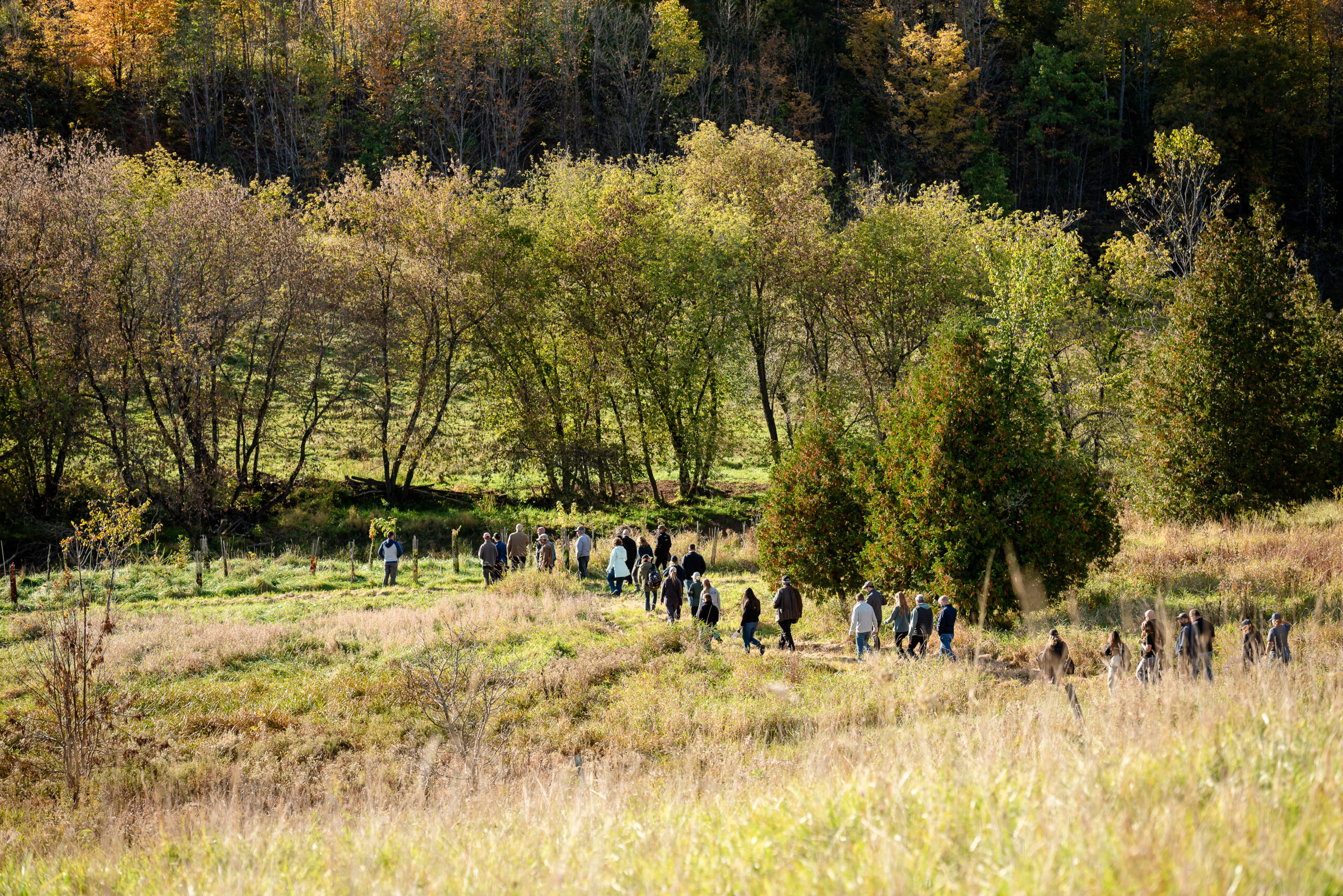 What are Ecosystem Services? - ALUS