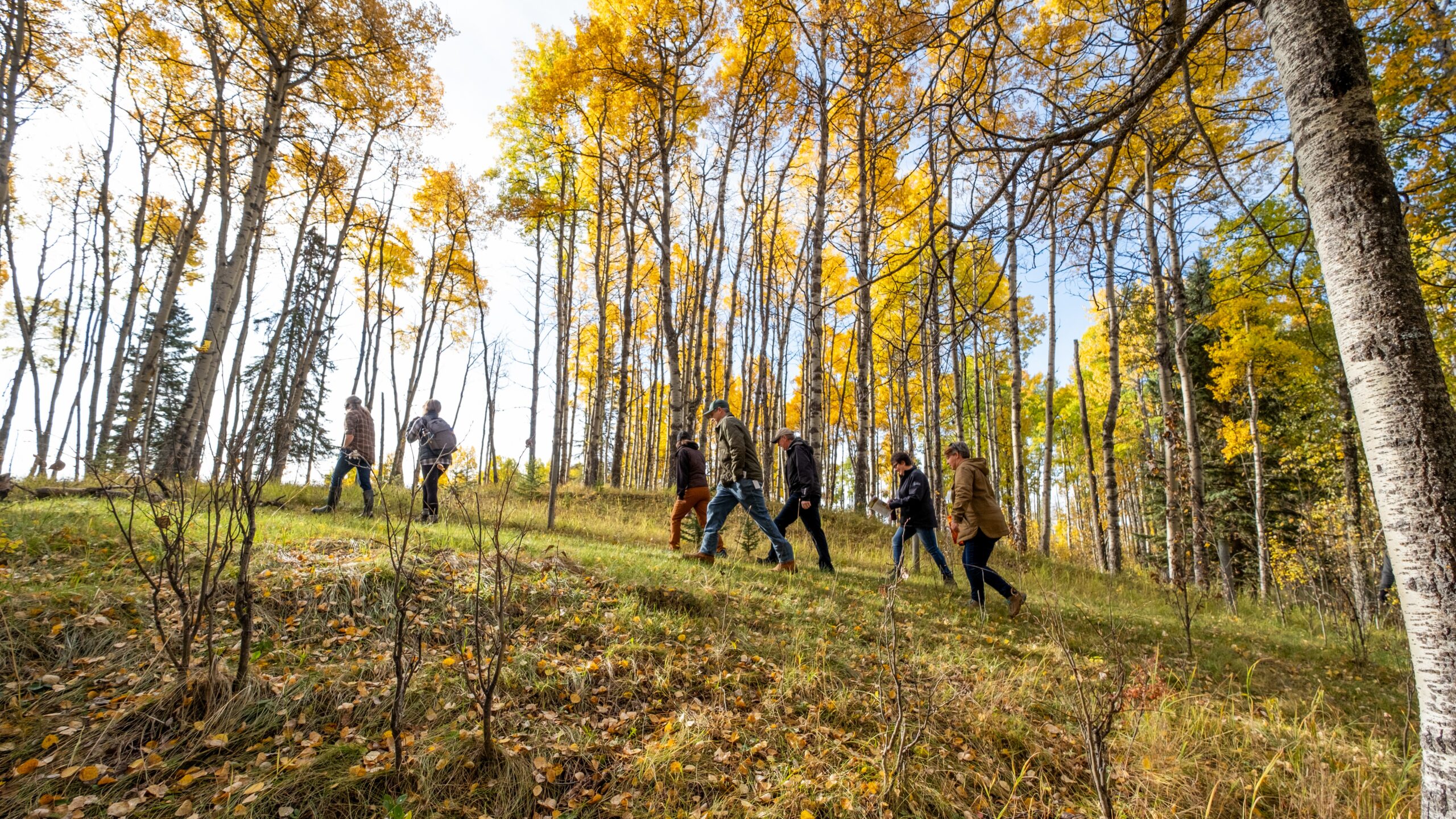 ALUS Field Conferences - ALUS