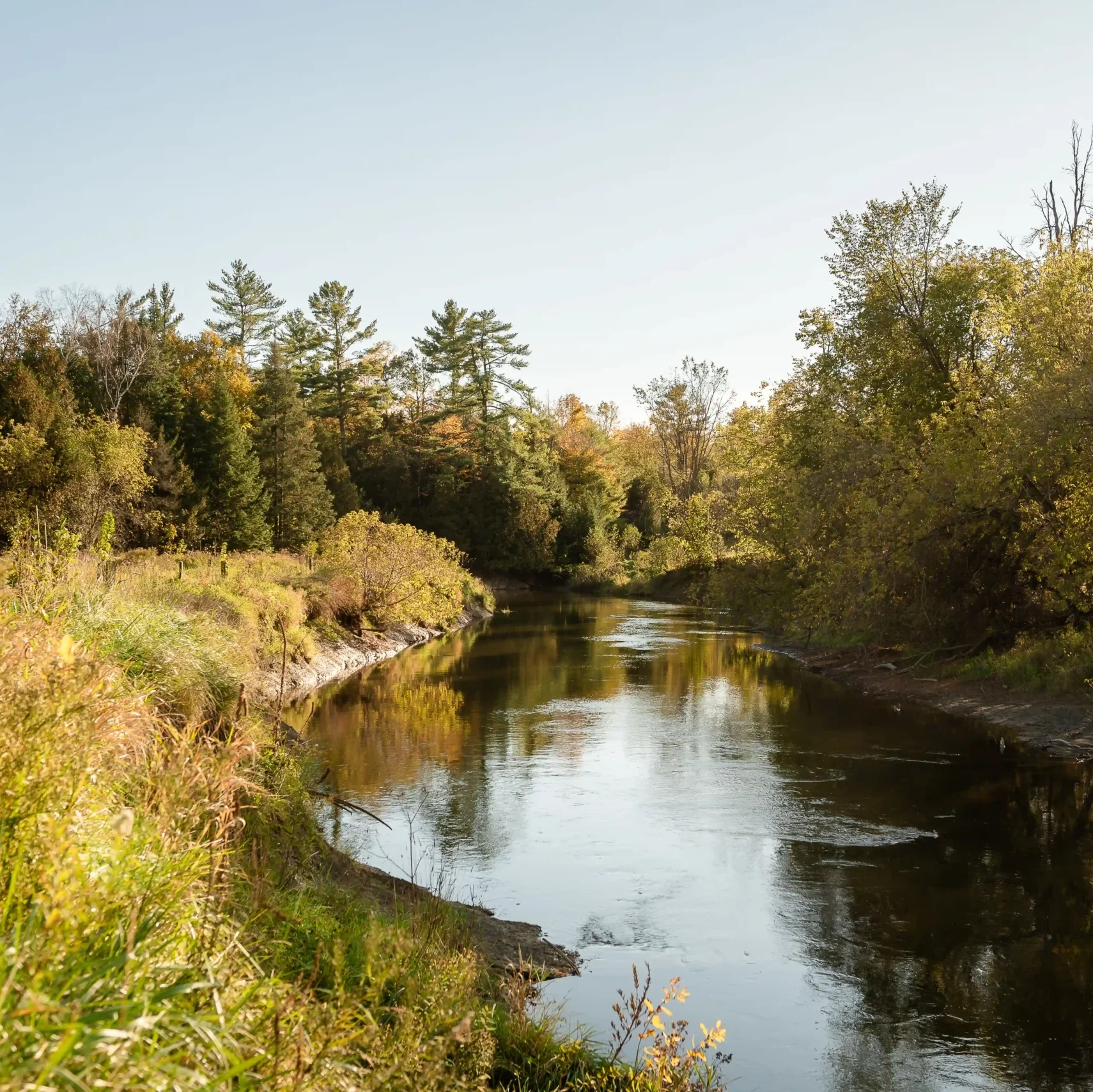 Learn About Our Projects at ALUS